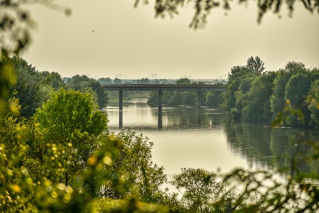 50 000+ Бесплатные River Micro & Природа изображения - Pixabay