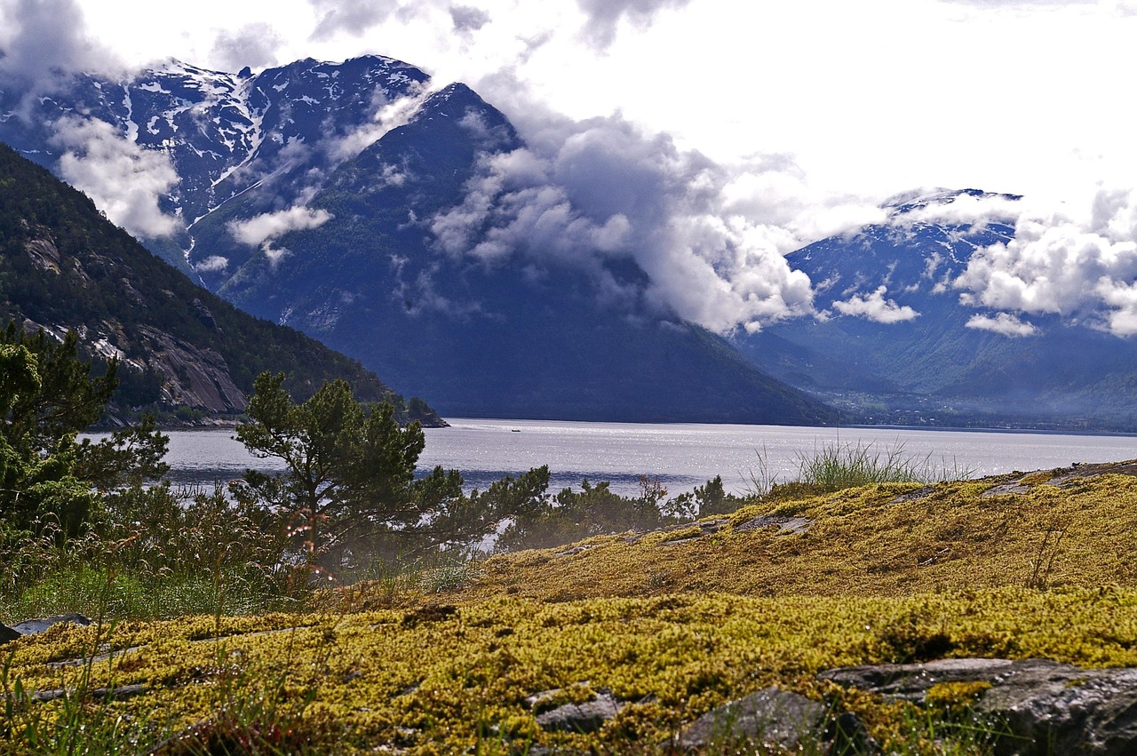 Hardanger Fjord Norway - Free photo on Pixabay - Pixabay