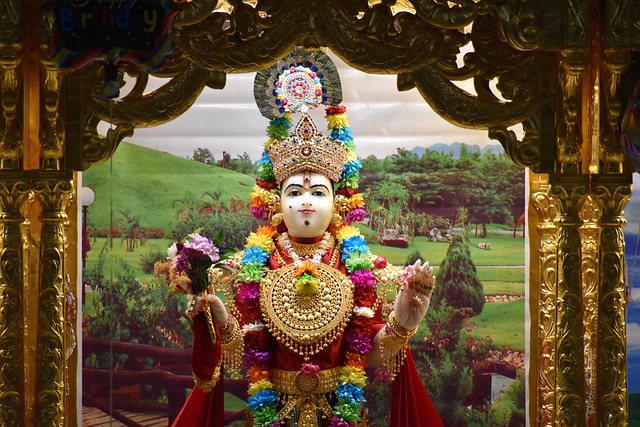 10+ Free Swami & Guru Images - Pixabay