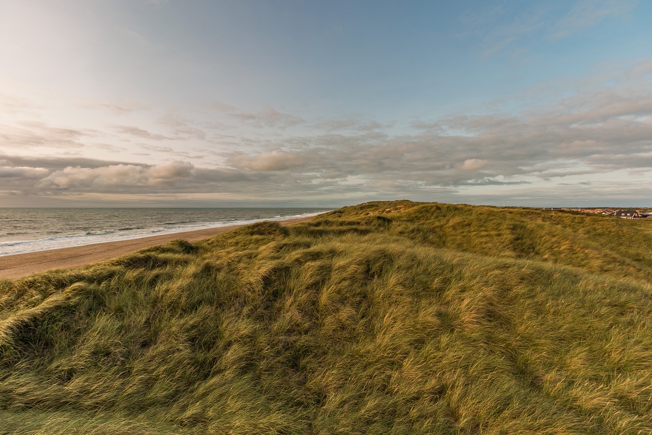 Sand Dunes Beach North Sea - Free photo on Pixabay