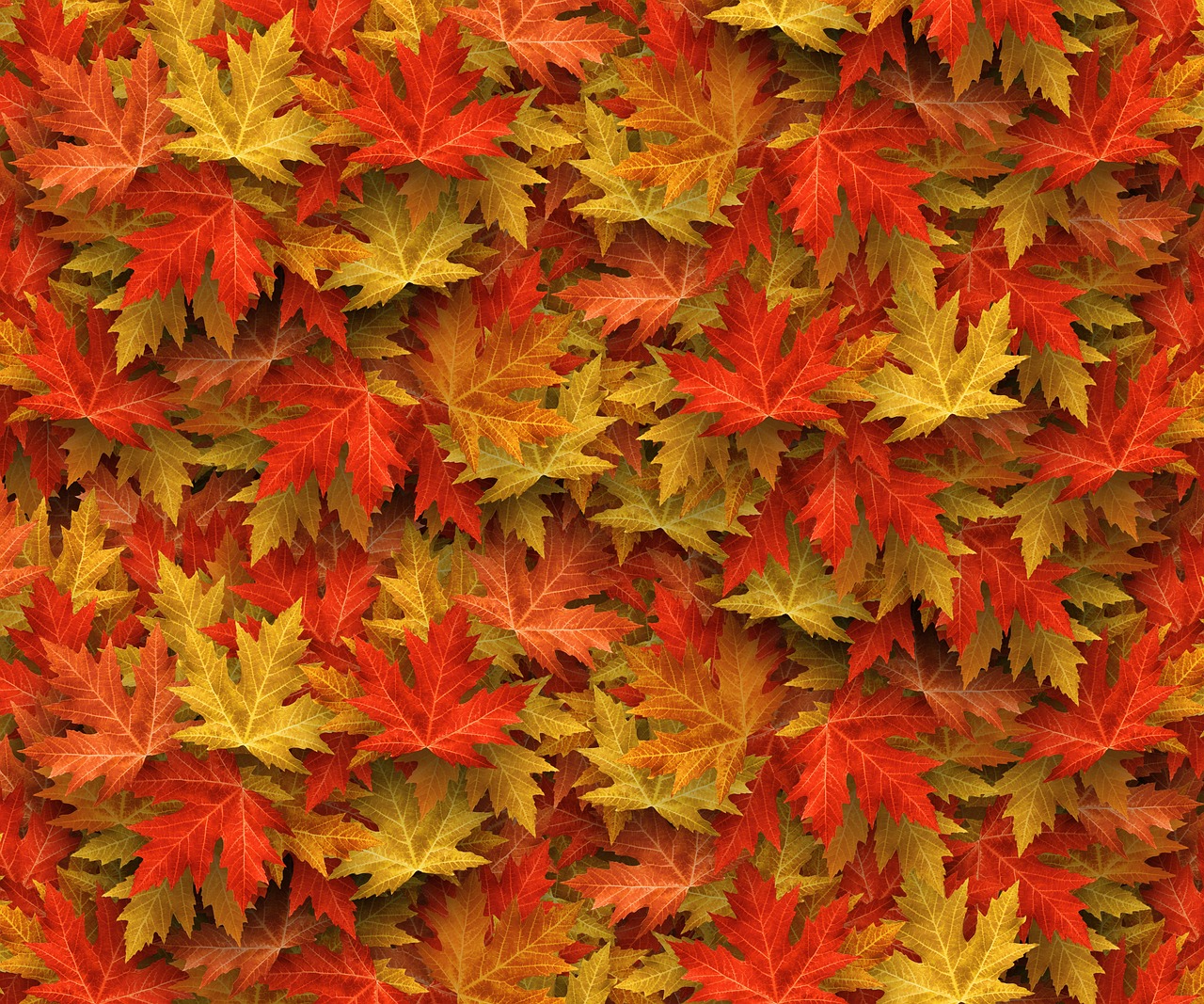 Fall Case Autumn Leaves - Free photo on Pixabay