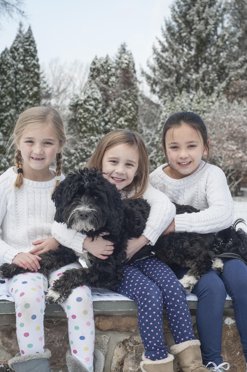 Sisters Dog Snow - Free photo on Pixabay - Pixabay