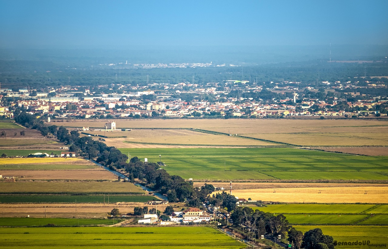 9,000+ Free Vila Franca De Xira Rzeki & Brazil Photos - Pixabay