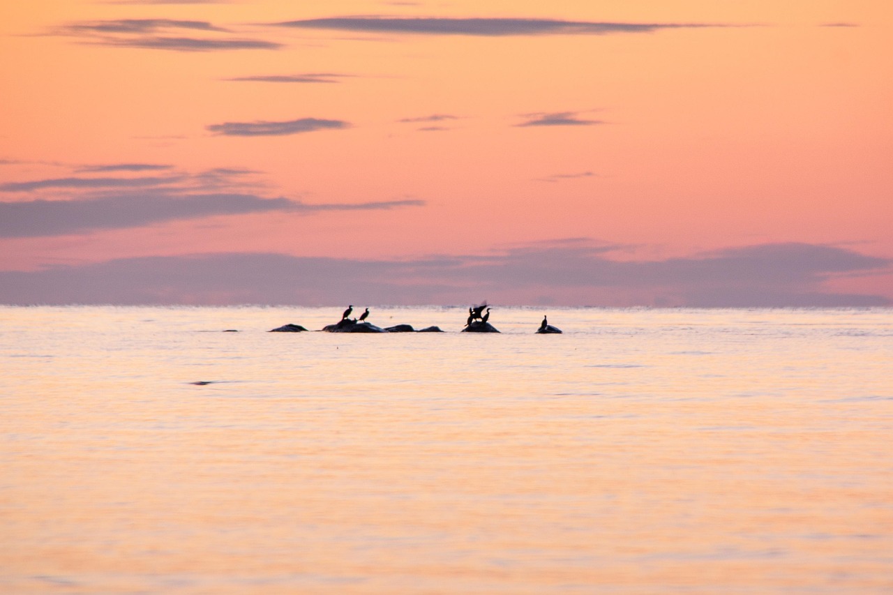 Baltique Mer Ambiance Le Coucher - Photo gratuite sur Pixabay - Pixabay