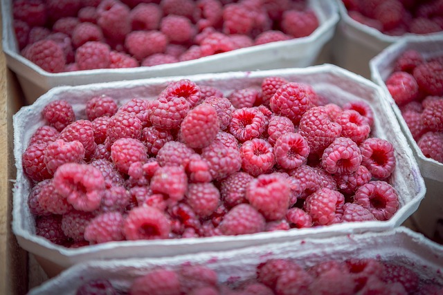 Aliments Framboises Frais - Photo gratuite sur Pixabay - Pixabay