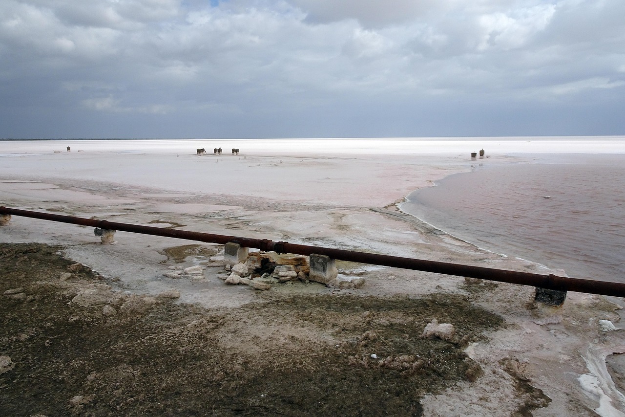 Besar Rann Putih Gurun - Foto gratis di Pixabay - Pixabay