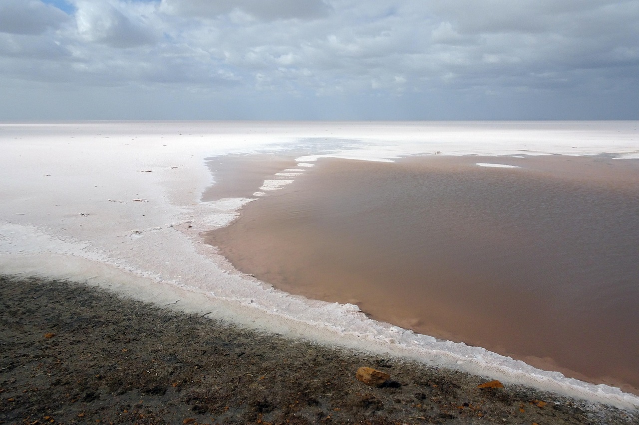 Great Rann White Desert - Free photo on Pixabay - Pixabay
