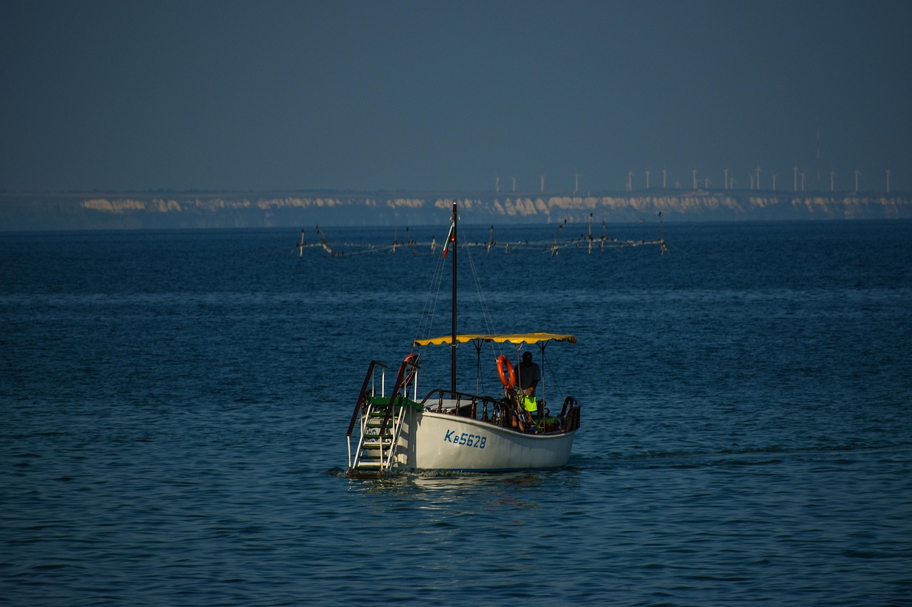 Mais de 400 imagens grátis de Deep Sea Overlooking e Natureza - Pixabay