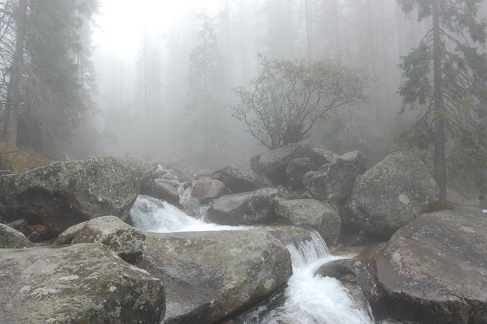 The Fog Stream Mountain - Free photo on Pixabay - Pixabay