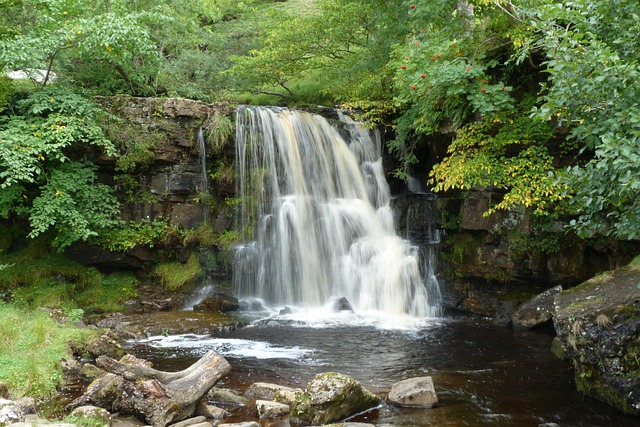 Nature Catrake Force Yorkshire - Free photo on Pixabay