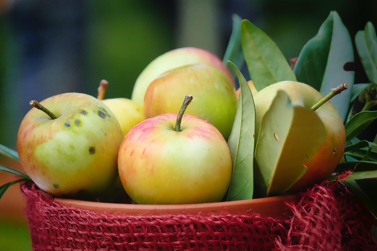 Harvest Fall Apple - Free photo on Pixabay - Pixabay
