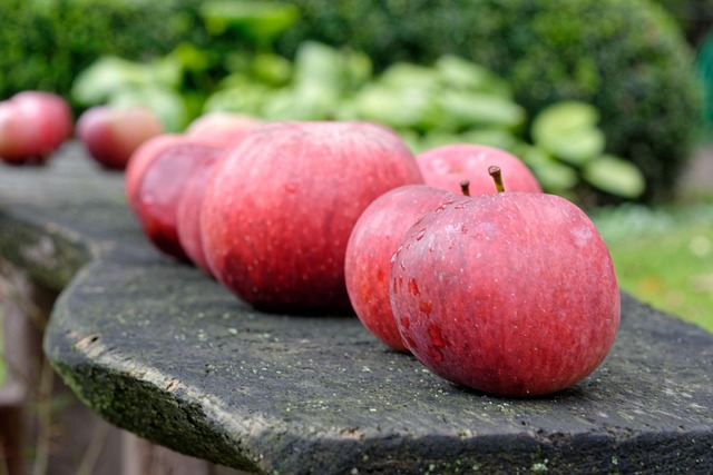 Apple Manzanas Fruta - Foto gratis en Pixabay - Pixabay