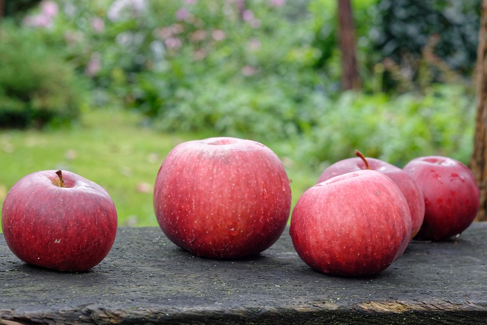 Apple Manzanas Fruta - Foto gratis en Pixabay - Pixabay