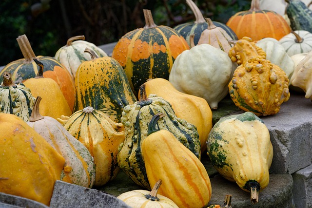 Citrouilles Citrouille - Photo gratuite sur Pixabay - Pixabay
