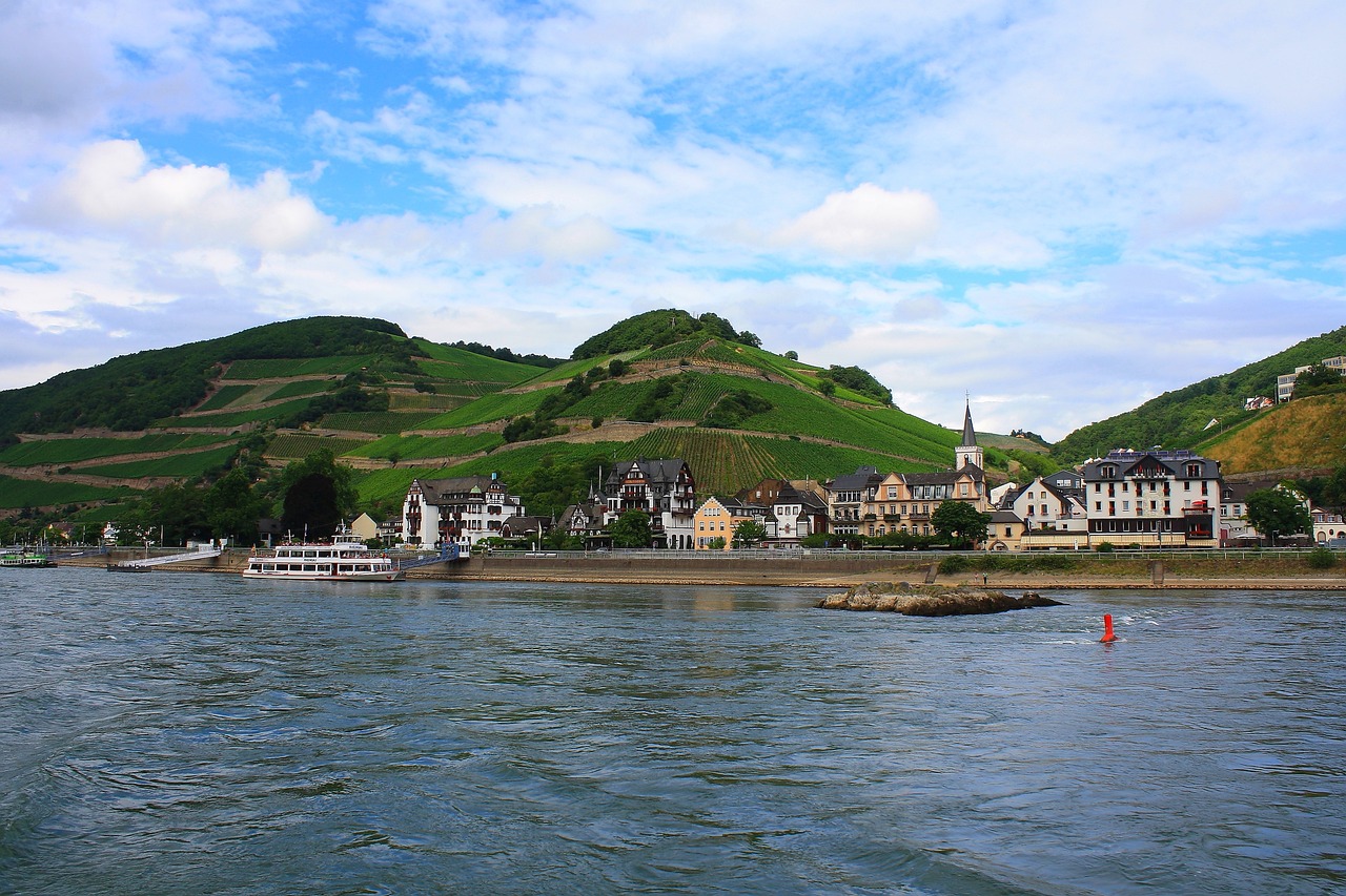 Rhine Nature Flow - Free photo on Pixabay - Pixabay