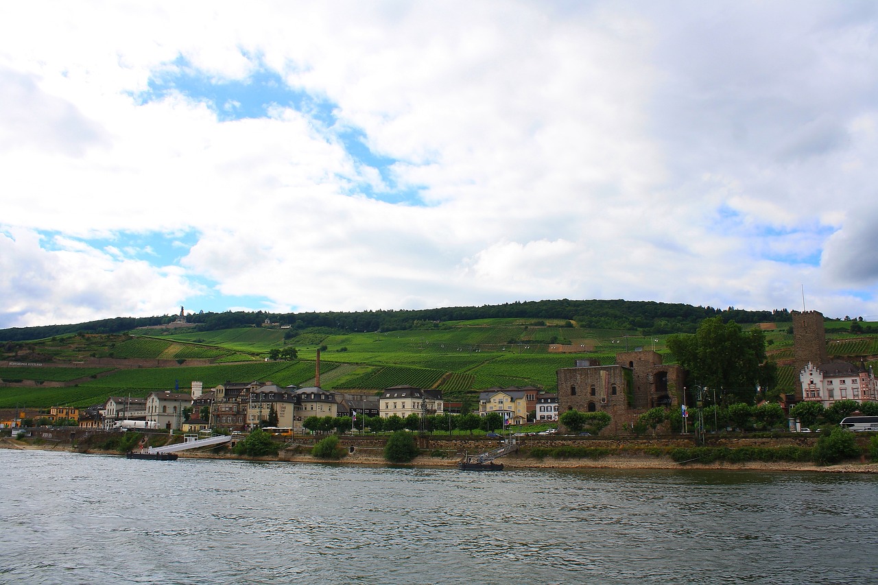 Rüdesheim Paysage Rhin - Photo gratuite sur Pixabay