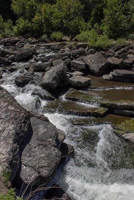 Nature Fleuve B - Photo gratuite sur Pixabay - Pixabay