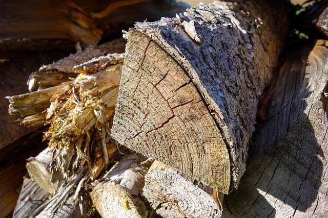 Pile Of Wood Meter Beating - Free photo on Pixabay - Pixabay