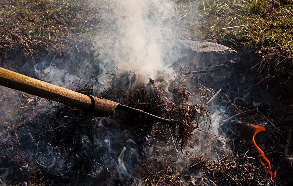 Leaves Pitchfork Fire - Free photo on Pixabay