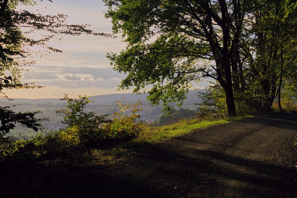 Heure D'Or Forêt Le Coucher Du - Photo gratuite sur Pixabay - Pixabay