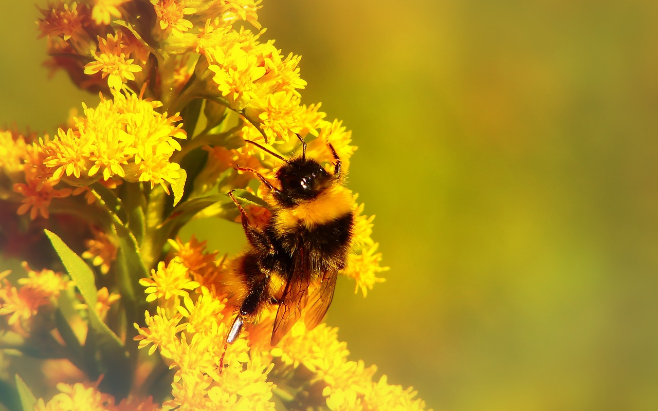 200+ Free Natural Gas & Nature Photos - Pixabay