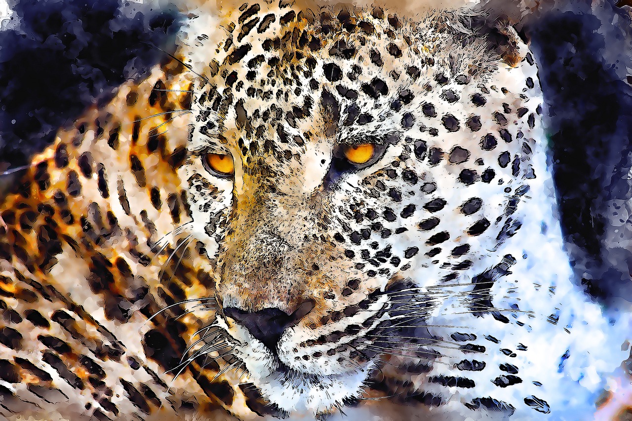 Leopardo Selvagem Retrato - Imagens grátis no Pixabay - Pixabay