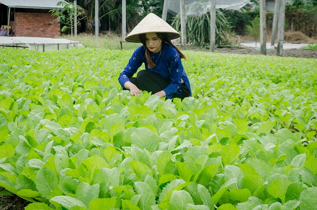Girl Farmers Crop Clean - Free photo on Pixabay - Pixabay
