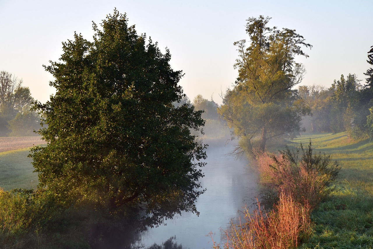 Morning Haze Fall Nature - Free photo on Pixabay - Pixabay
