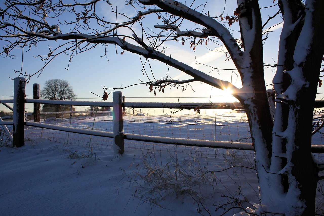 Snow Winter Landscape Nature - Free photo on Pixabay - Pixabay
