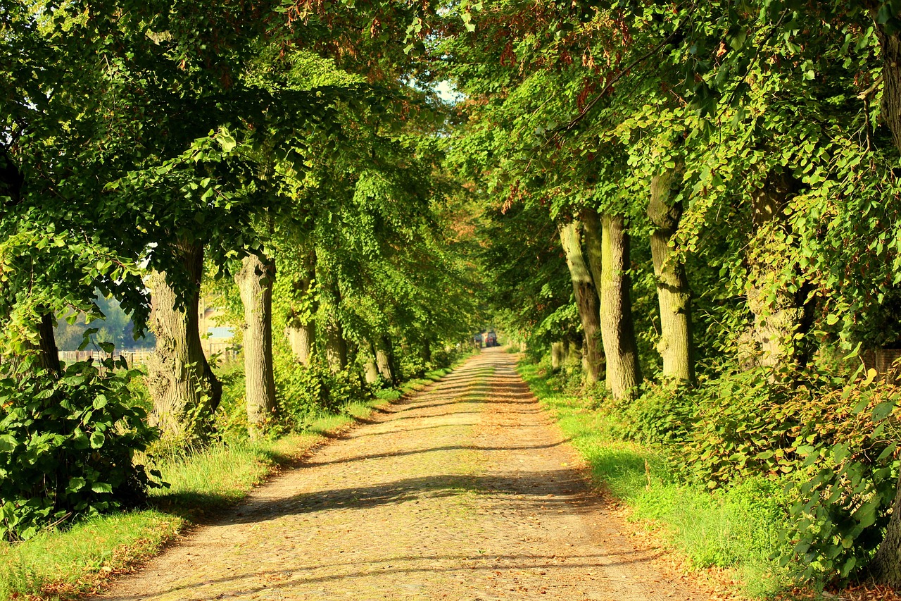 1,400,000+ Free Nature Walk & Walk Images - Pixabay