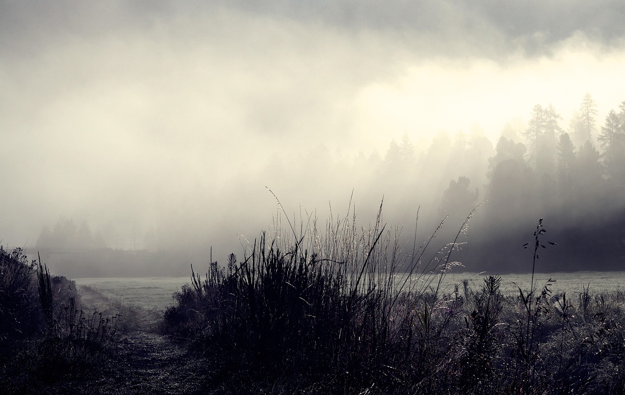 100+ Free Mountain Dew & Dew Images - Pixabay