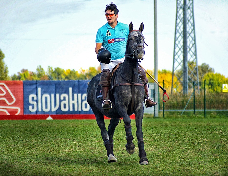 Cheval De Polo Un - Photo gratuite sur Pixabay