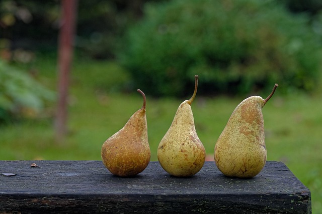 Autumn Pear Pears - Free photo on Pixabay