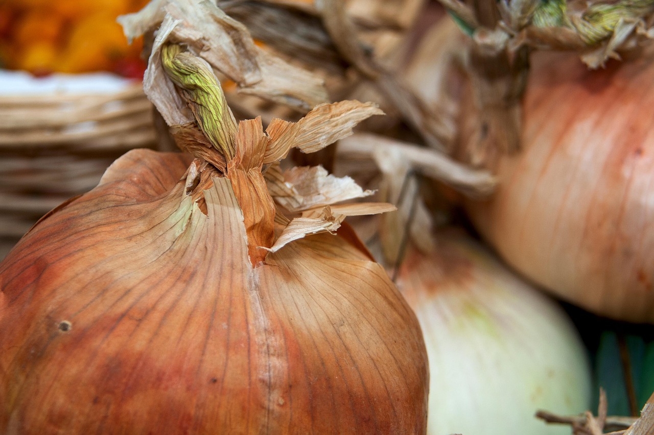Cebola Vegetais Alimentos - Foto gratuita no Pixabay - Pixabay