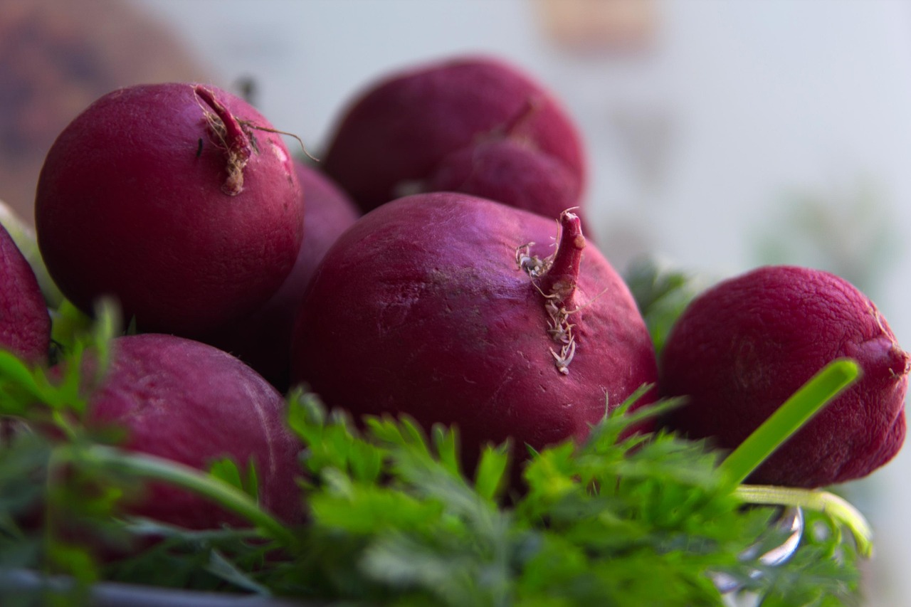 Vegetais Alimentos Rabanete - Foto gratuita no Pixabay - Pixabay
