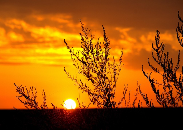 100,000+ Free Get Up & Nature Images - Pixabay