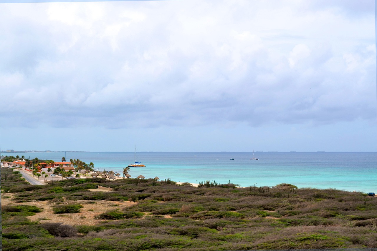 Summer Caribbean Aruba - Free photo on Pixabay - Pixabay