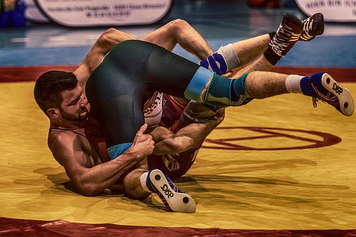 20+ Free Wrestler & Wrestling Photos - Pixabay