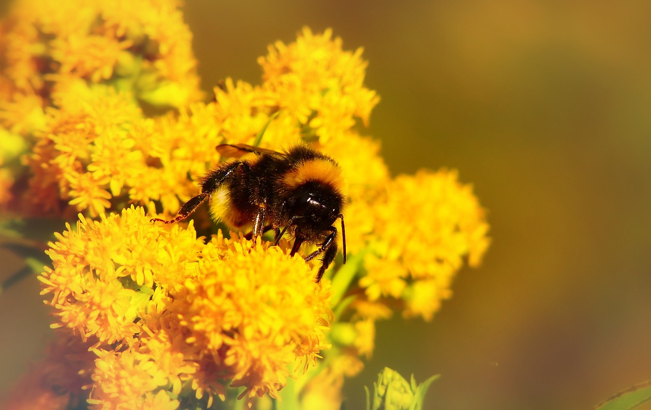 200+ Free Natural Gas & Nature Photos - Pixabay