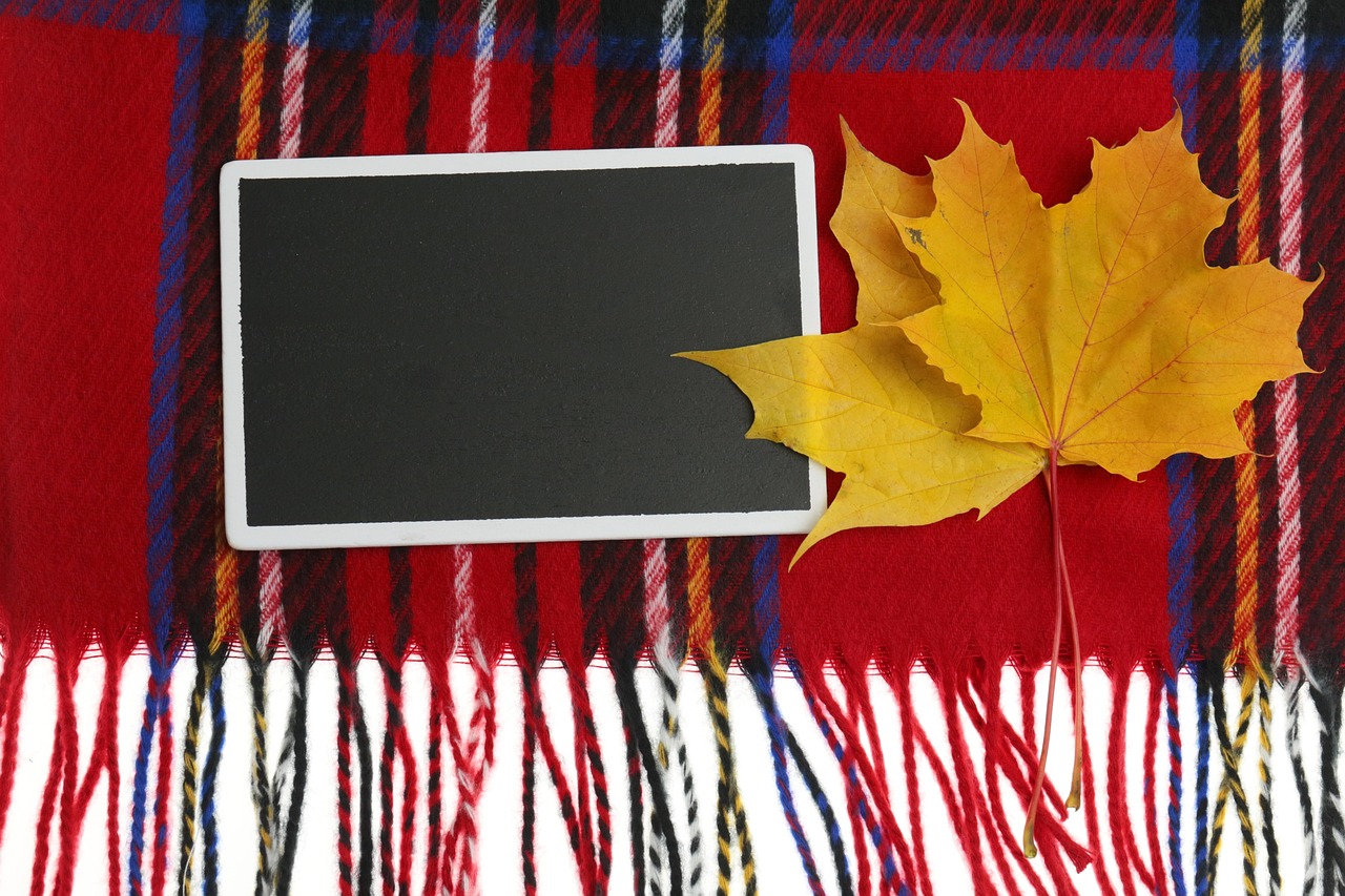 Autumn Maple Sheet - Free photo on Pixabay - Pixabay