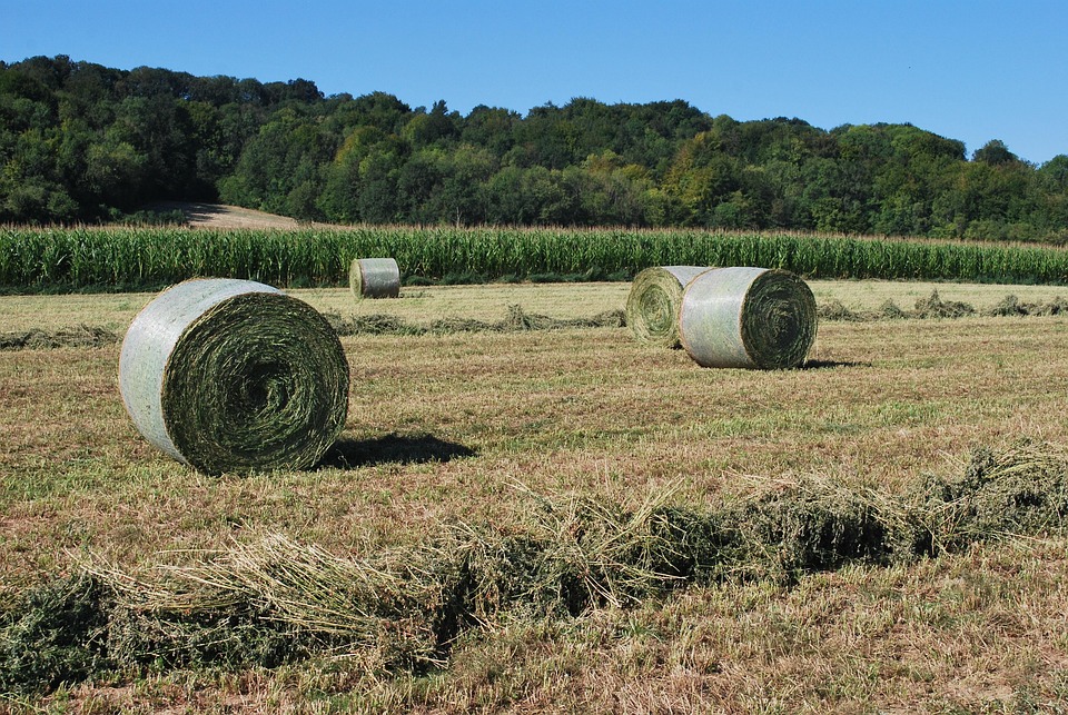 Straw Bundles Agriculture - Free photo on Pixabay - Pixabay