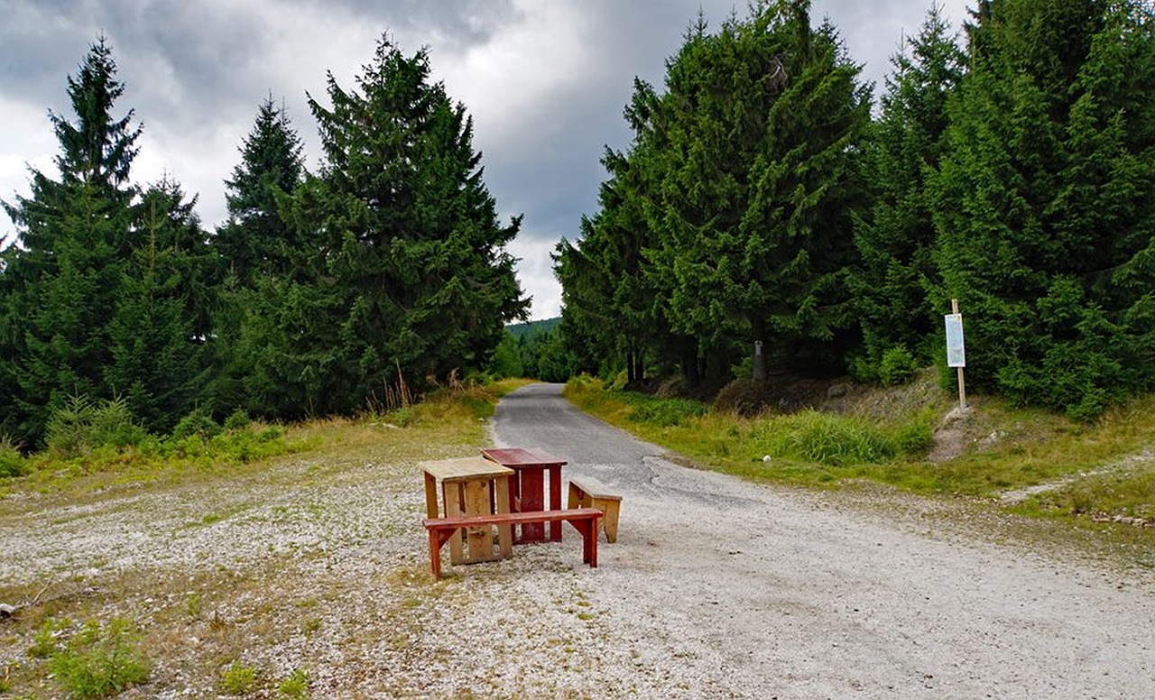 Oltre 80 foto Bivio & Strada gratis - Pixabay
