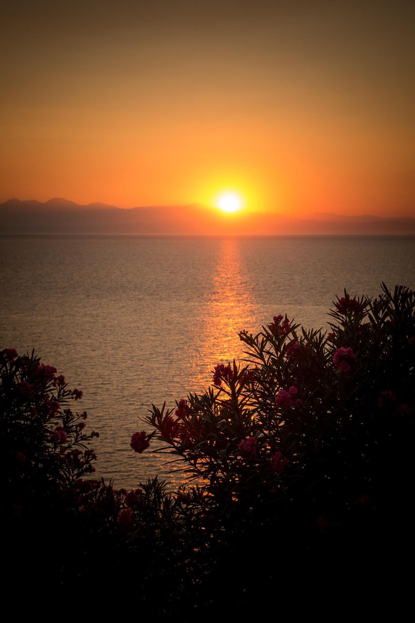 20+ Free Zante-Zakynthos & Zante Images - Pixabay