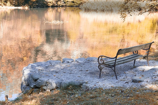 Fall Bank Nature - Free photo on Pixabay