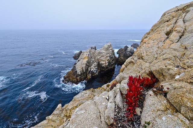 10,000+ Free Big Sur & Big Ben Images - Pixabay