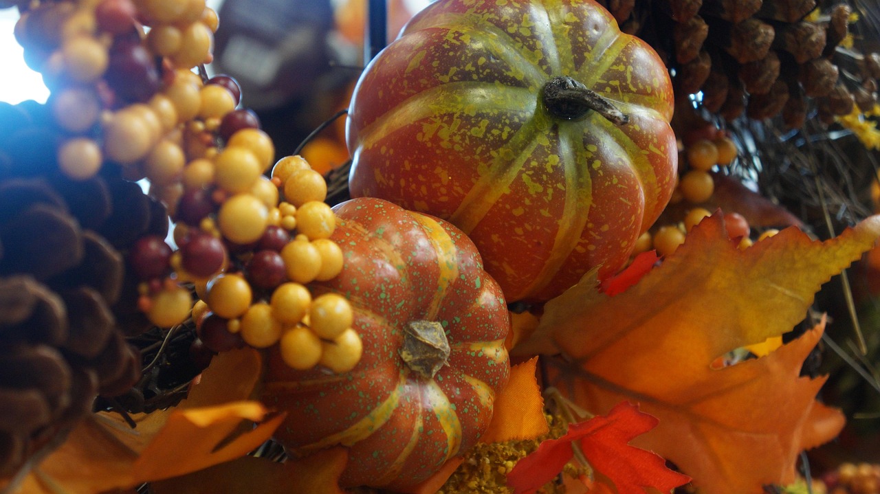 Thanksgiving Background - Free photo on Pixabay