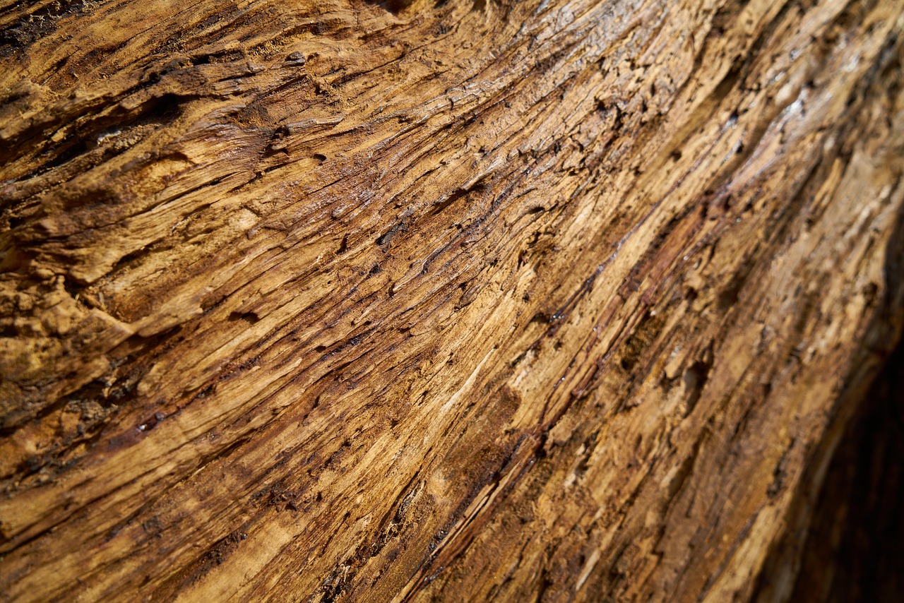 Wooden Wood Timber - Free photo on Pixabay - Pixabay