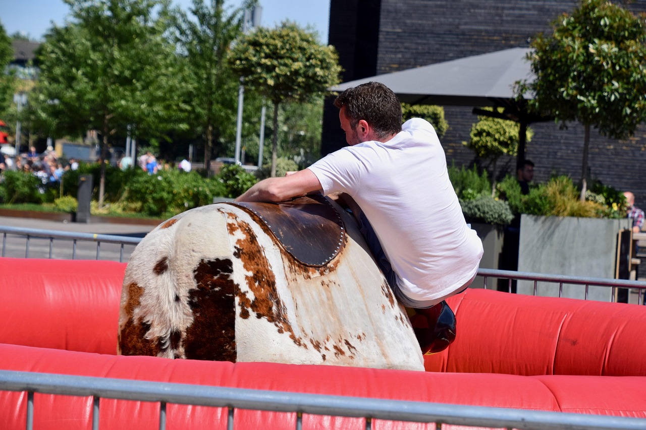 90+ Free Bull+Riding & Rodeo Images - Pixabay