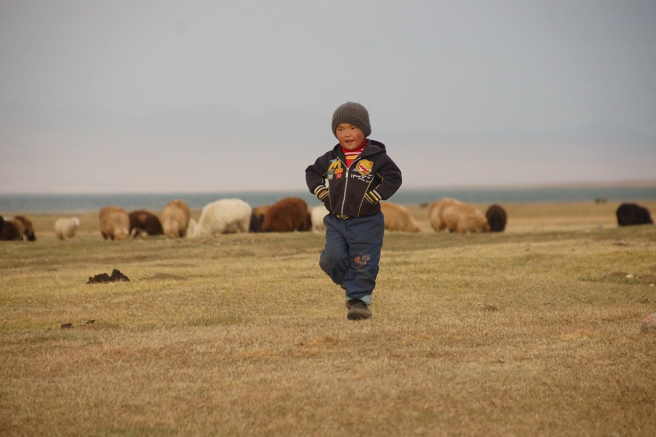 300+ Бесплатные Kyzart Kyrgyzstan & Кыргызстан изображения - Pixabay