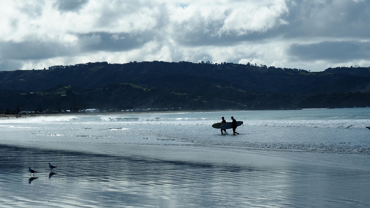 New Zealand Omaha Beach Surfers - Free photo on Pixabay - Pixabay